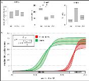 HIPPOCAMPAL-DBS-AFFECTS-DISEASE-DEVELOPMENT-IN-THE-KA-RAT-MODEL-FOR-TLE