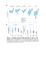 MRI-negative-TLE-is-not-cognitively-benign--looking-beyond-lesions-for ...