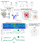 Ripples-(80-200-Hz)-in-the-Human-Mesial-Temporal-Lobe-Exhibit-Different ...