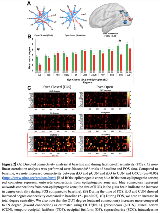 Anatomical-Electro-Clinical-Correlations-During-SEEG-Recorded-Fixation ...