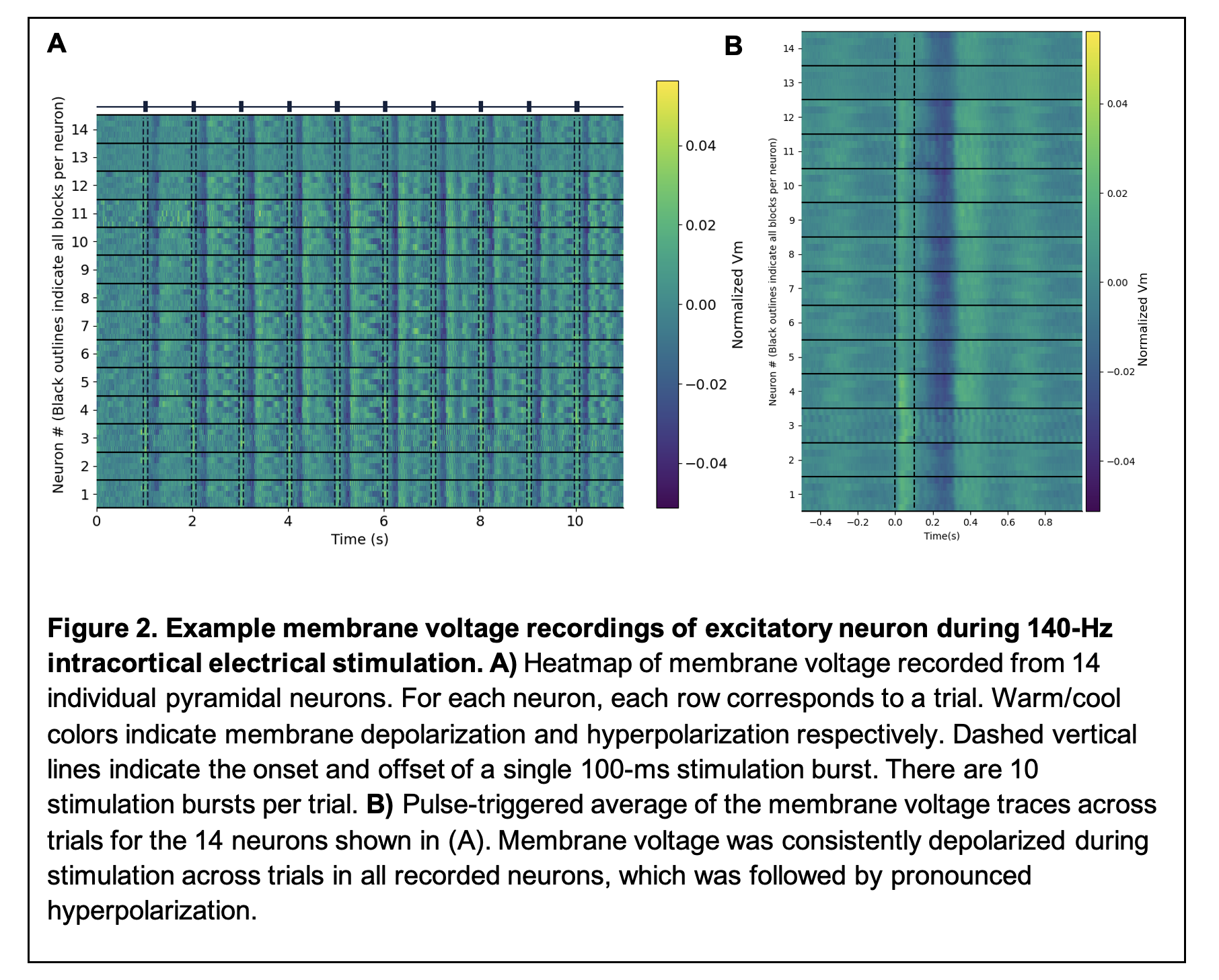 voltage imaging analysis of intracranial electrical stimulation effect ...